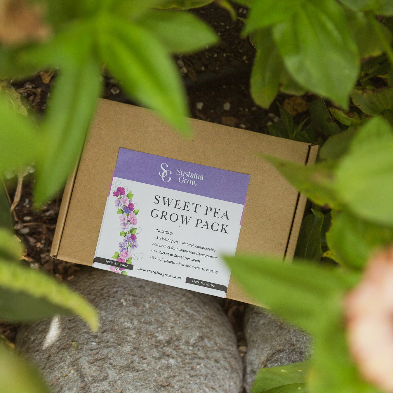 The Sweet Pea Grow Pack – Sustaina Grow