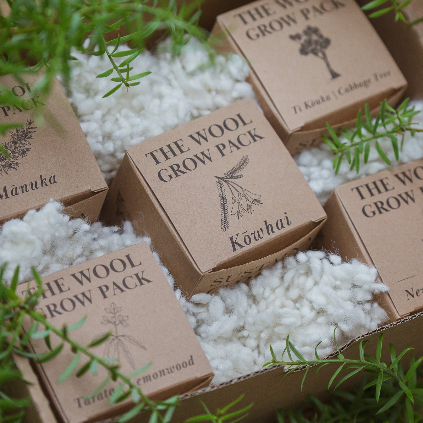 Sustaina Grow Gift Box - Native Trees