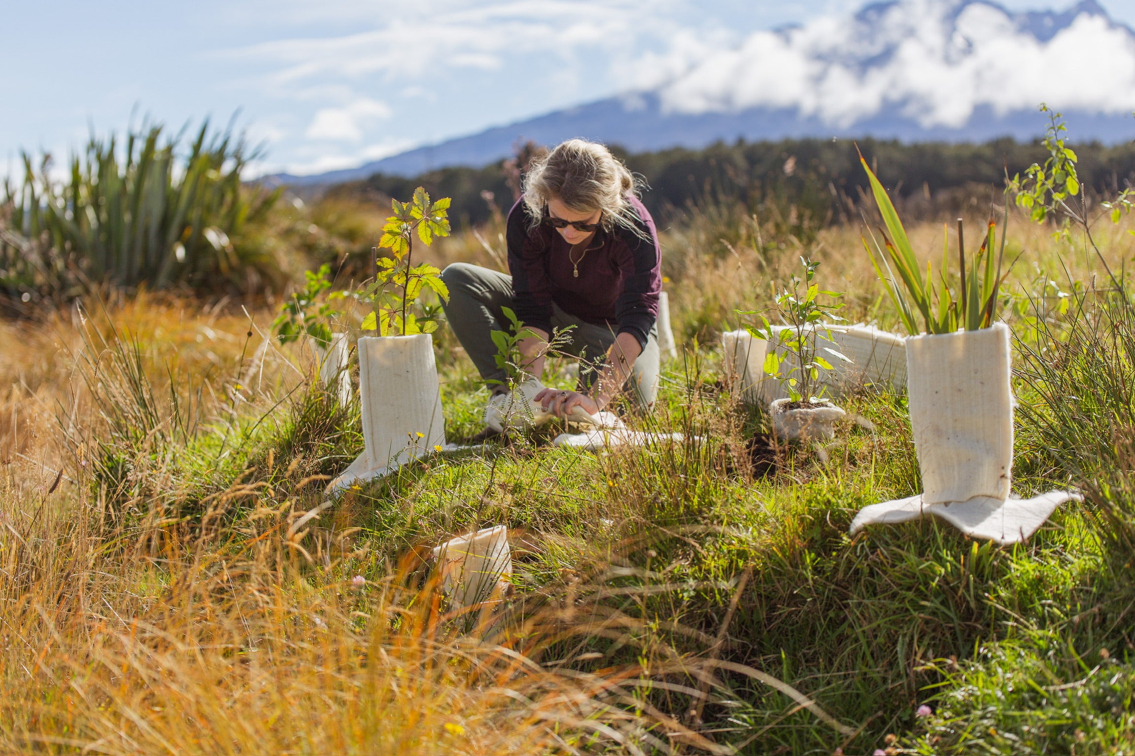 Sustaina Grow - Natural Wool Products